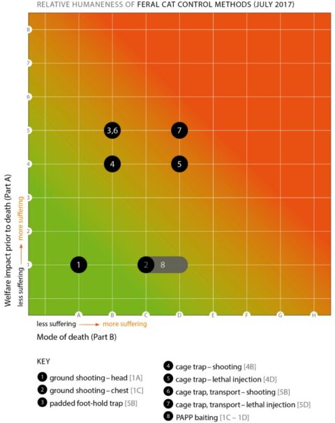 Humane feral cat control in Australia | National Feral Cat and Fox ...