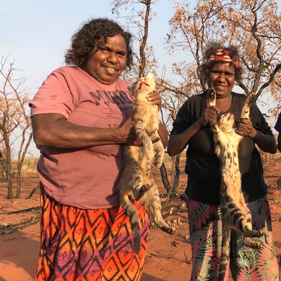 Feral cat management tool: Indigenous hunting